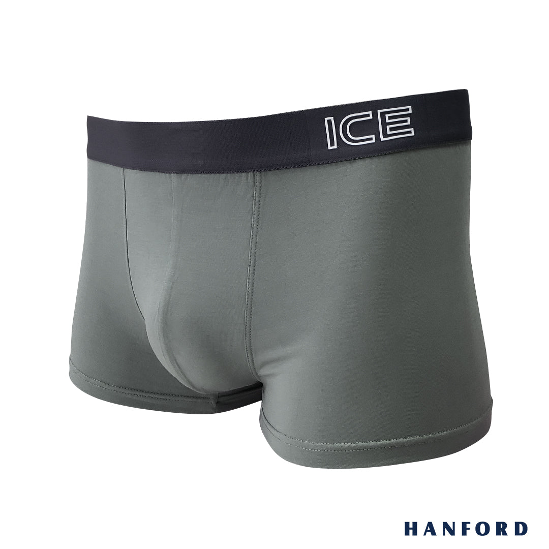 Hanford iCE Men Viscose w/ Spandex Boxer Briefs Dusty03 - Sedona Sage ...