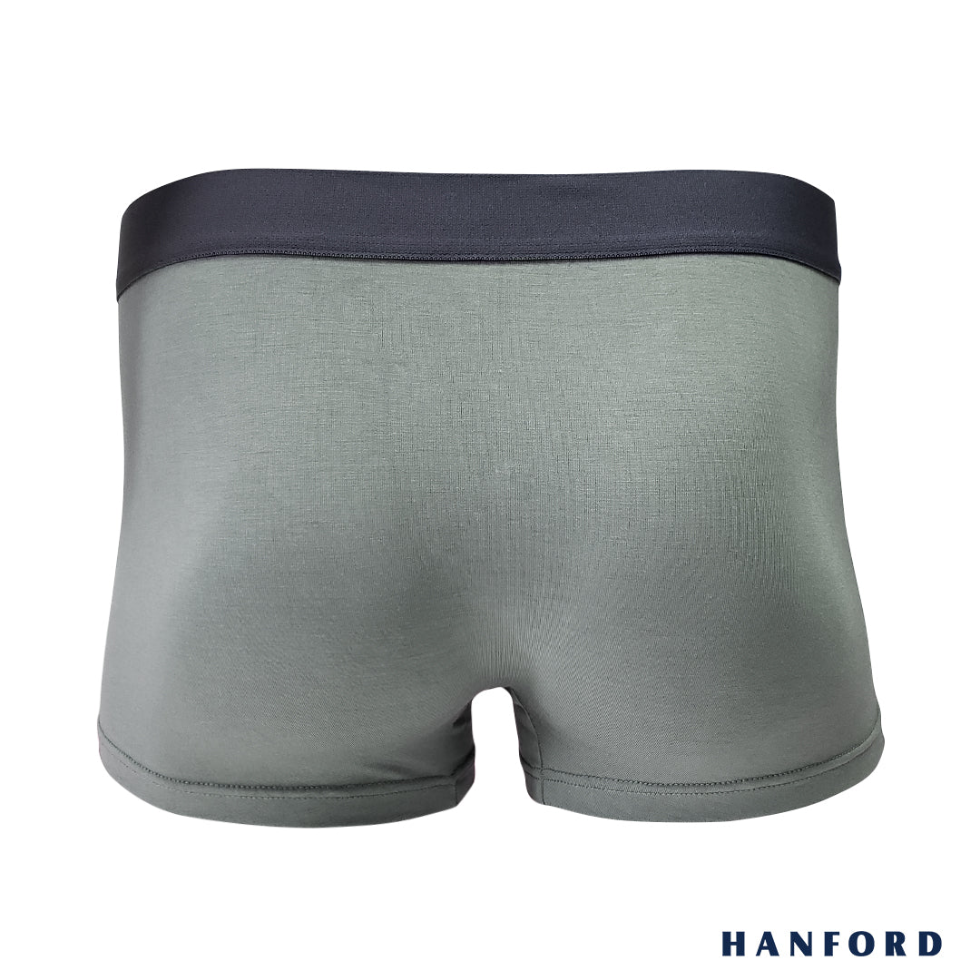 Hanford iCE Men Viscose w/ Spandex Boxer Briefs Dusty03 - Sedona Sage ...