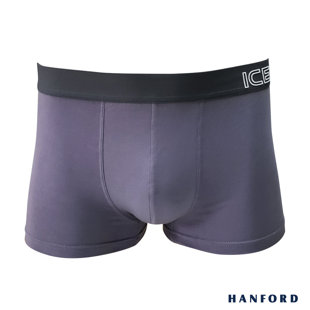 Hanford iCE Men Viscose w/ Spandex Boxer Briefs Dusty02 - Excalibur (S ...