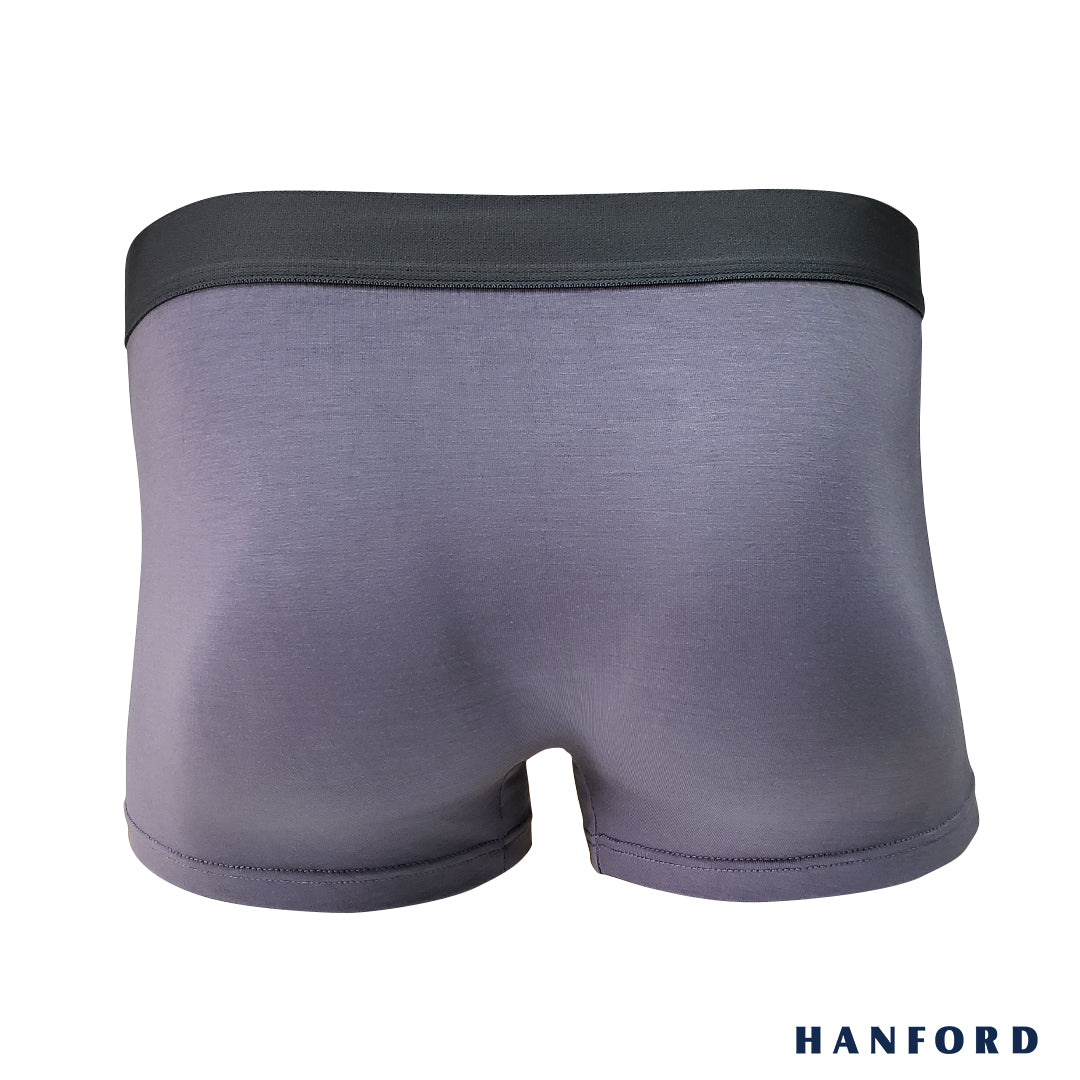 Hanford iCE Men Viscose w/ Spandex Boxer Briefs Dusty02 - Excalibur (S ...
