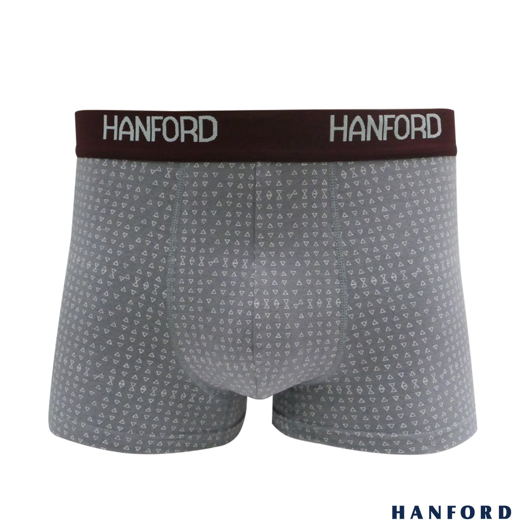 Hanford Men Cotton w/ Spandex Boxer Briefs Kol - Triangle Print/Mirage ...