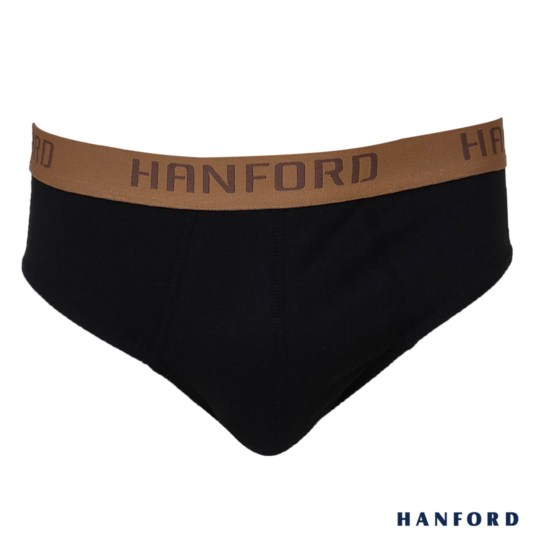 Hanford Men Regular Cotton Briefs Earth01 Collection - Assorted (3in1 ...