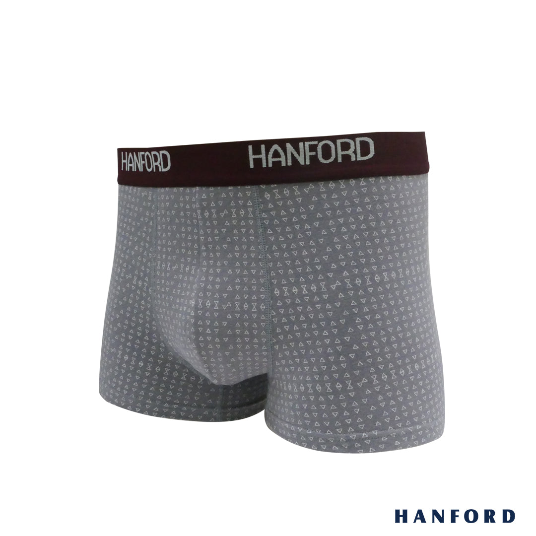Hanford Men Cotton w/ Spandex Boxer Briefs Kol - Triangle Print/Mirage ...