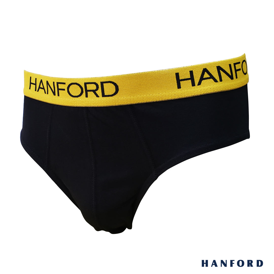 Hanford Men Regular Cotton Briefs Earth02 Collection - Assorted (3in1 ...
