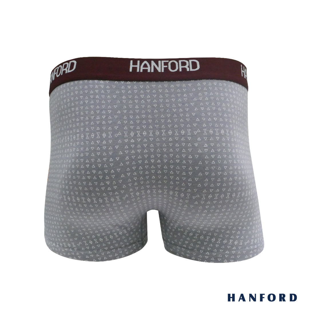 Hanford Men Cotton w/ Spandex Boxer Briefs Kol - Triangle Print/Mirage ...