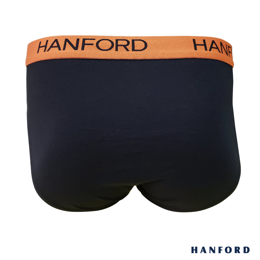 Hanford Men Regular Cotton Briefs Earth02 Collection - Assorted (3in1 ...